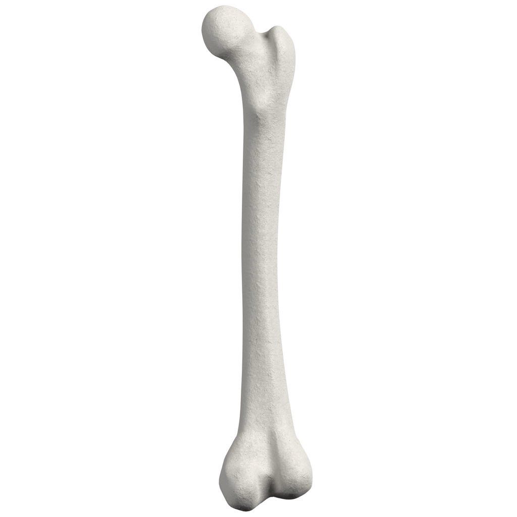 Knee Surgeon Reading | Mr Sam Nahas | Same-Week